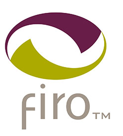 MBTI®认证/应用中心-Skill&Will